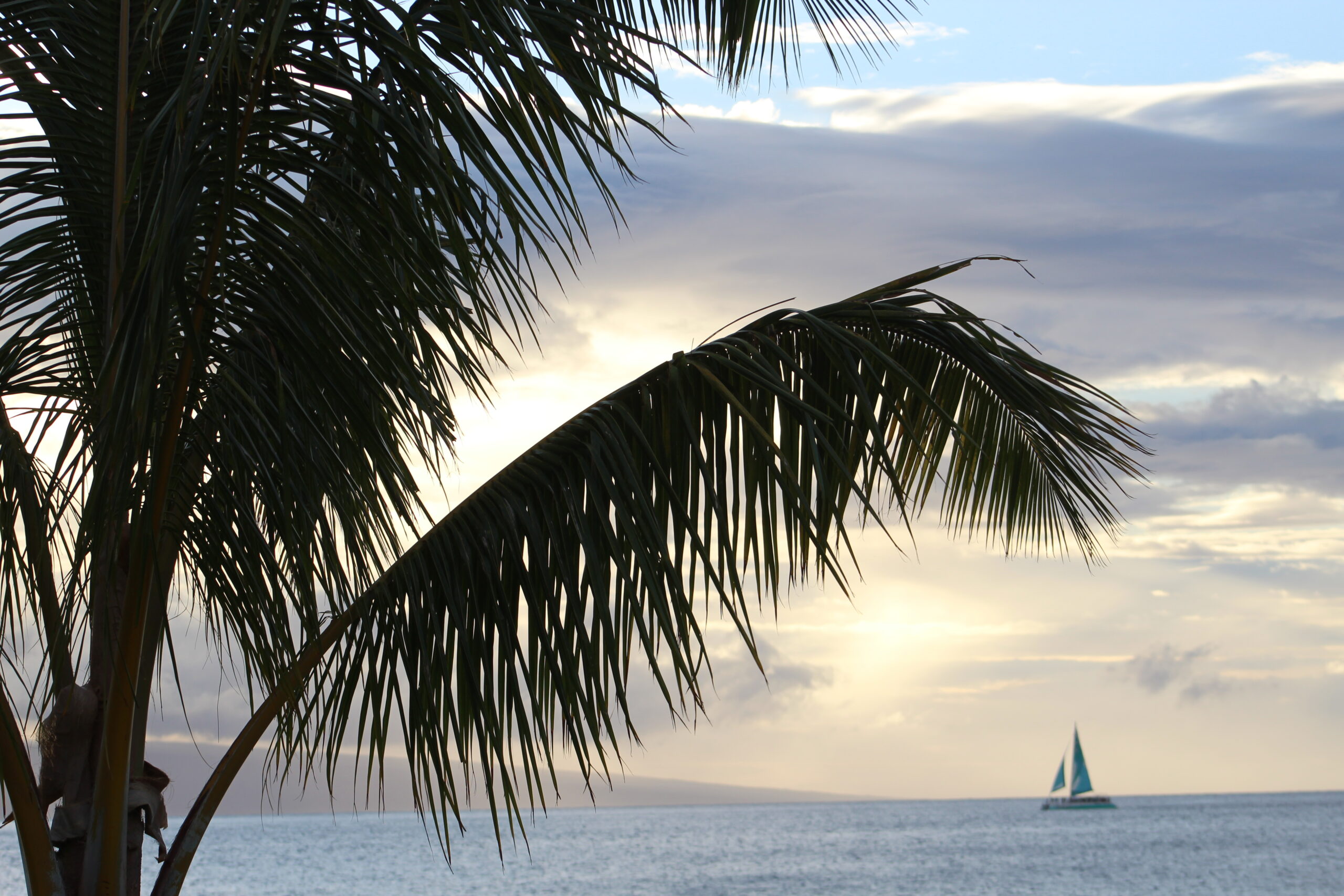 Photo of the Day: Smooth Sailing | News, Sports, Jobs - Maui News